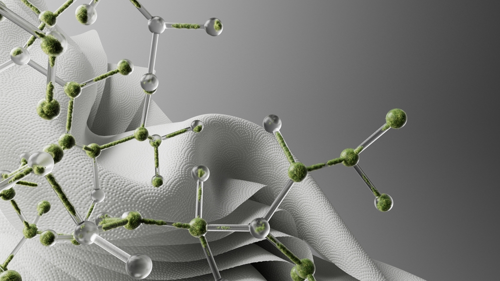 Making a sustainable impact: Biomass-balanced wet strength additives ...